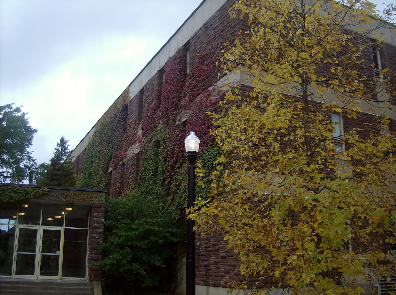 Mount Allison University Campus: Maps and Photos – Geoffrey Campbell